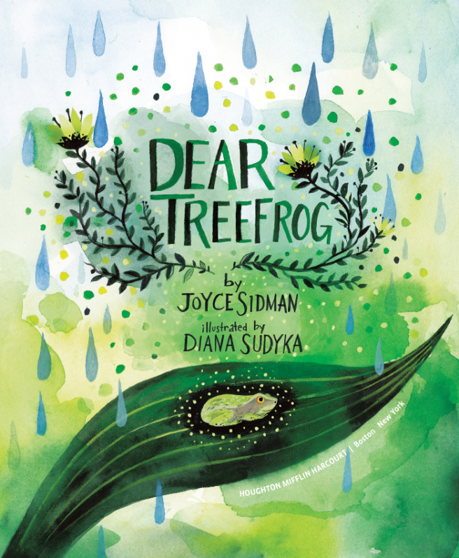 Review: Dear Treefrog – Kidlit & Caboodle